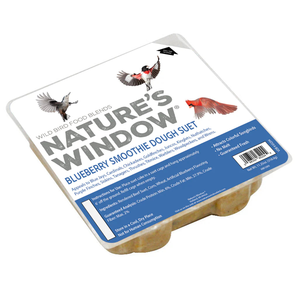 Nature’s Window Blueberry Smoothie Dough Suet - Serving 5 Locations in ...