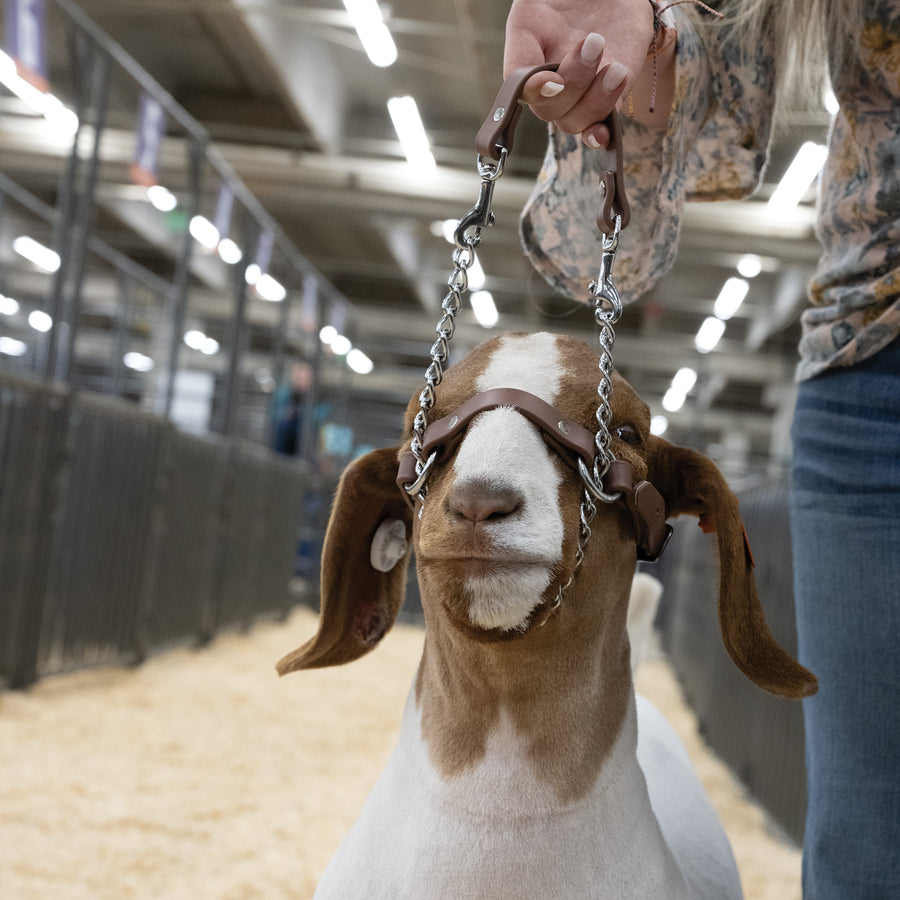 Weaver Total Control Goat Halter - Serving 5 Locations in OH ...