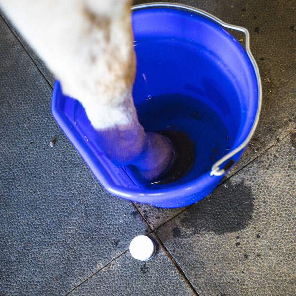 Vetericyn® Hoof Soak - Serving 5 Locations in OH - Granville Milling Co.