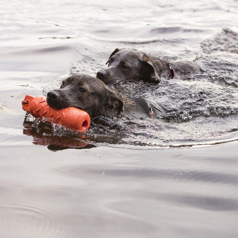 KONG Training Dummy Floating Dog Toy (Large) - Serving 5 Locations in ...