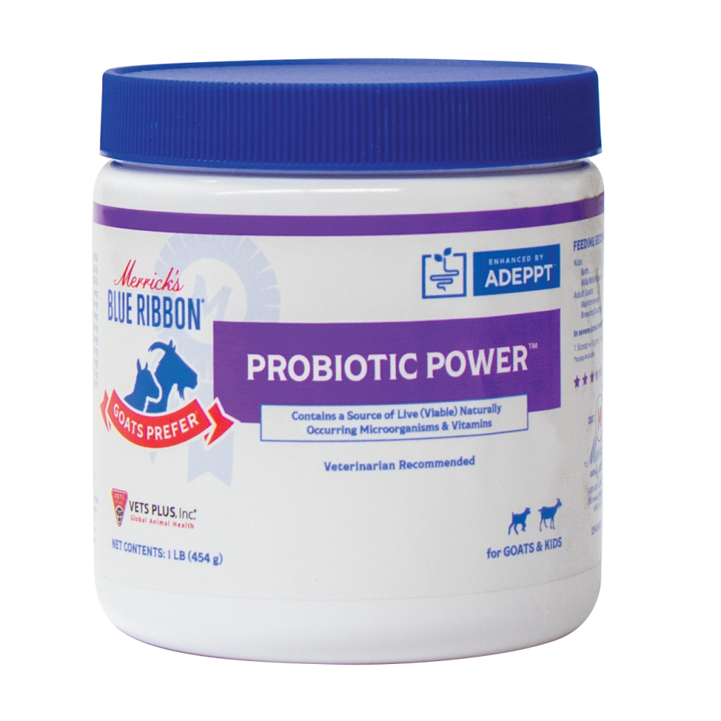 Merrick s Blue Ribbon Goats Prefer Probiotic Powder 1 Pound - Serving 5 ...