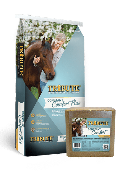 Tribute Constant Comfort® Total Gut Health Supplement System - Serving ...