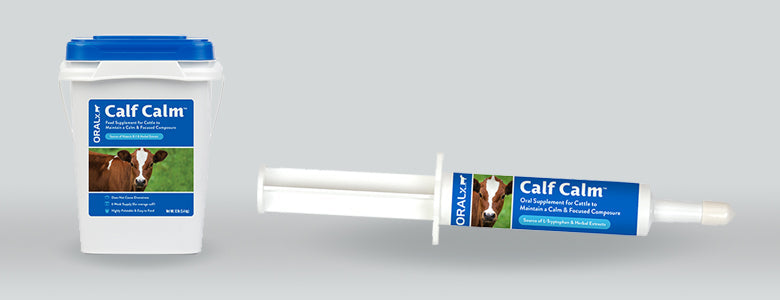Oralx Corporation Calf Calm Paste for Horses - Serving 5 Locations in ...